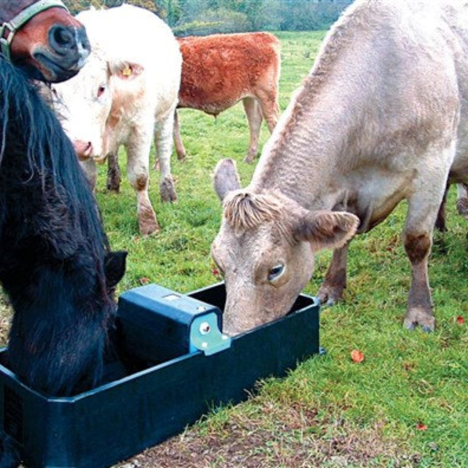 Paxton 75 Litre Rectangular Drinking Trough - Tanks Direct