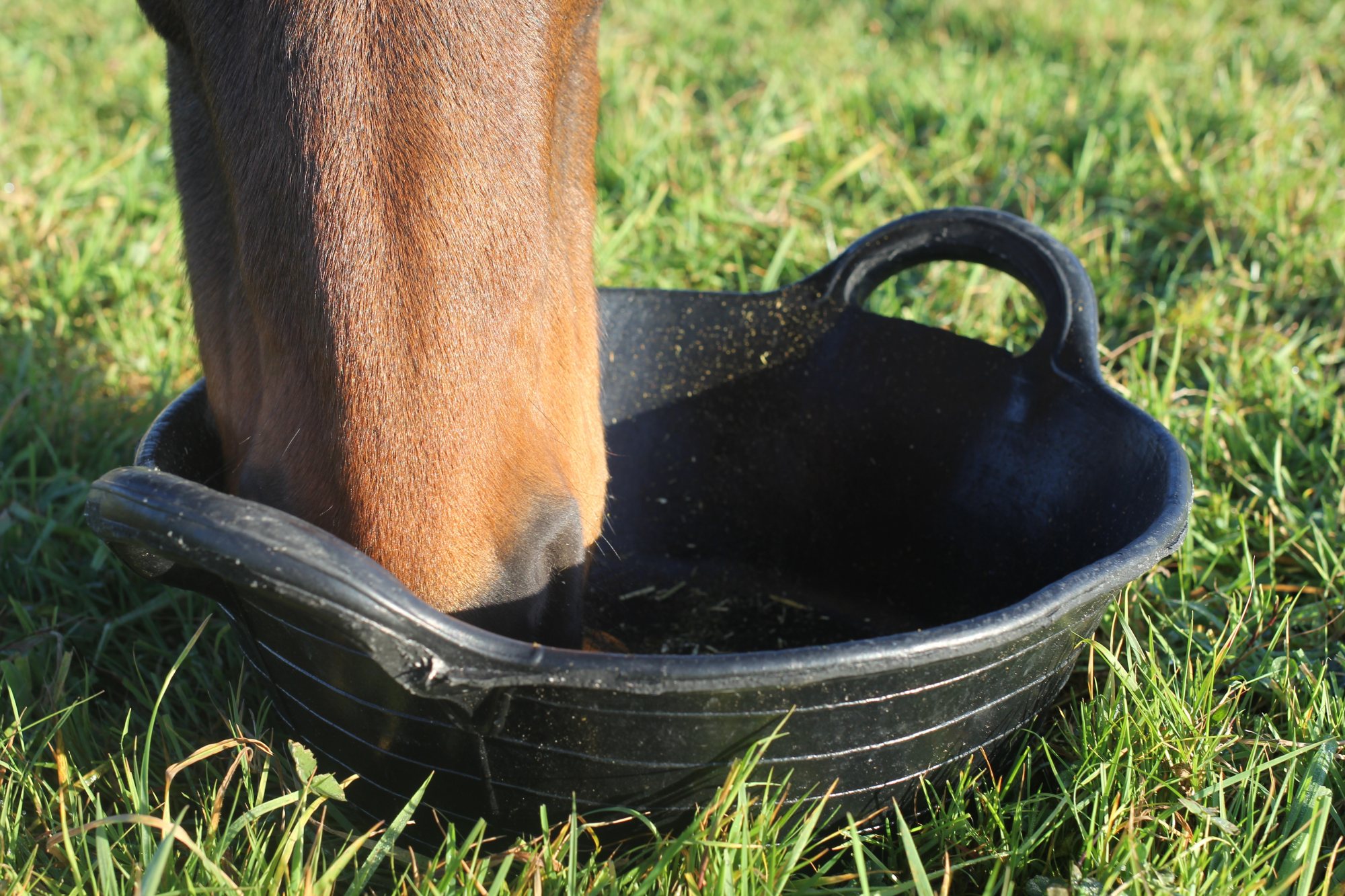 Recycled Tyre Rubber Small Skip - Tanks Direct
