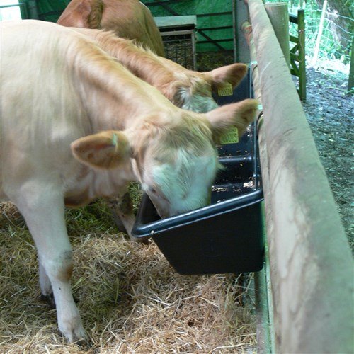 Paxton 73 Litre Hanging Feed Trough - Tanks Direct