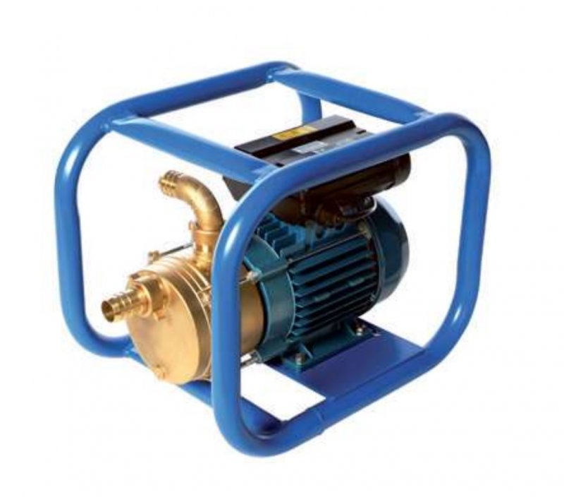Chemical Transfer /Circulation Pump (30-50mm) - Tanks Direct
